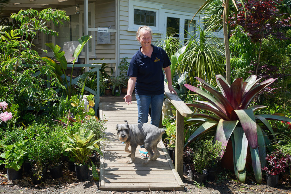 Nic office entrance 107 | Dannys Palms & More